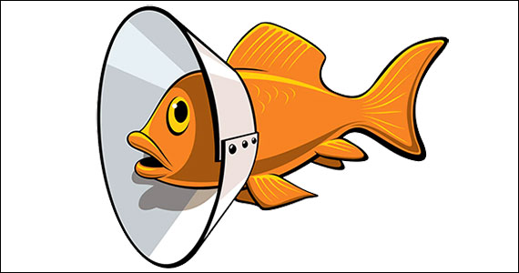 ICHRA to be codified? Ways & Means advances one of the few (mostly ...